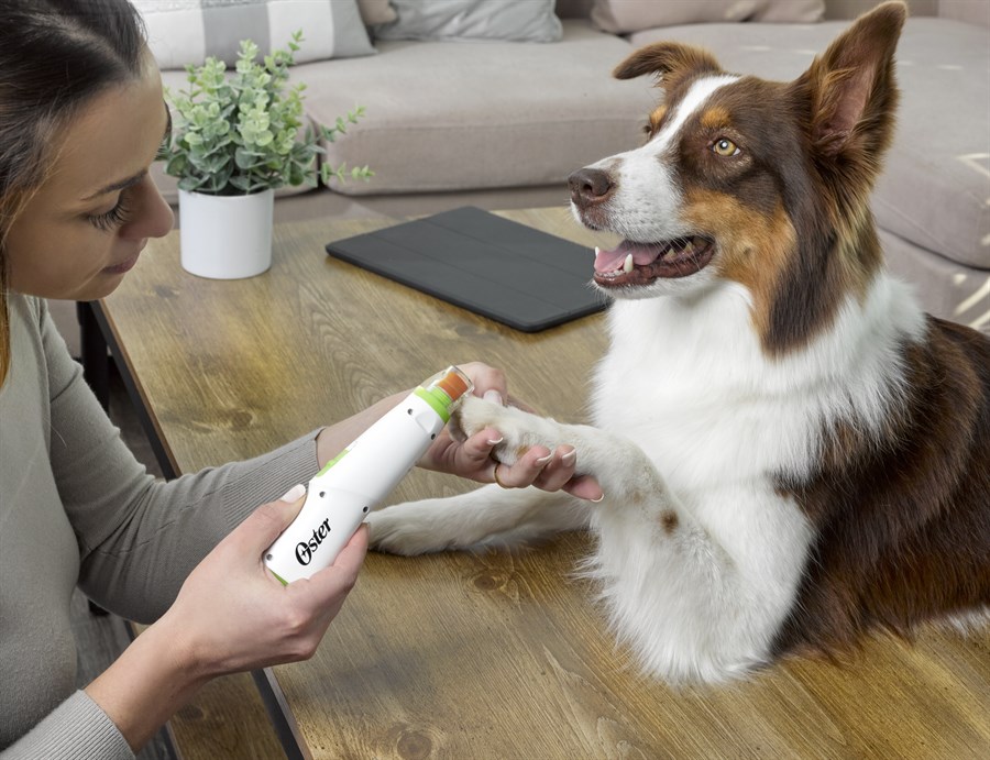 Oster Gentle Paws trådløs elektrisk neglefil - batteridrevet neglefil ...