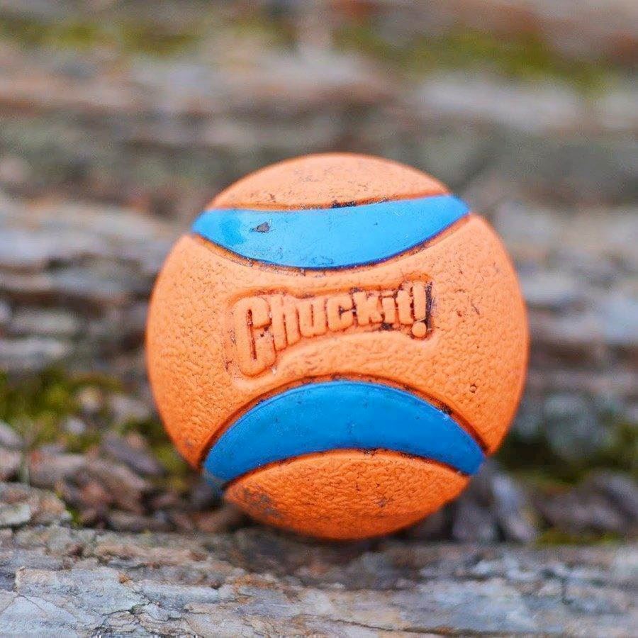 Chuckit Fetch Games Ultra Ball